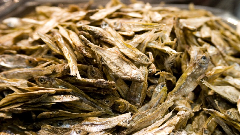 Comer Charales Secos: 9 Beneficios Nutricionales - Benefimundo