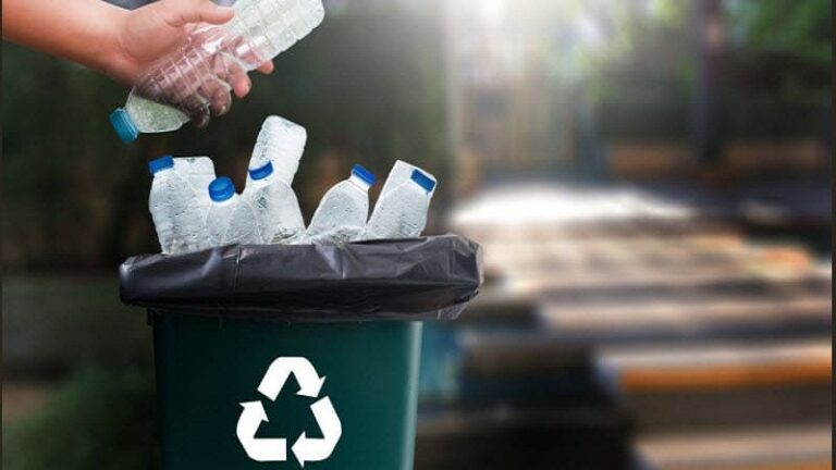 Reciclar Botellas: 7 Beneficios Ambientales Y Económicos - Benefimundo