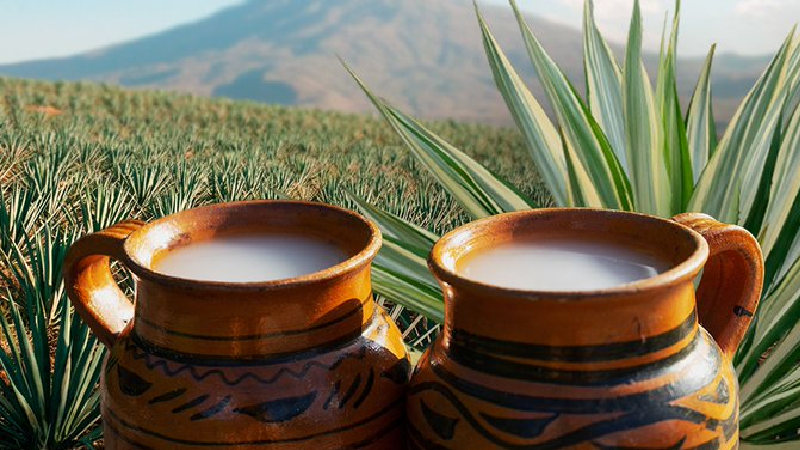 Pulque: 6 Beneficios Y Precauciones (PDF Incluido) - Benefimundo